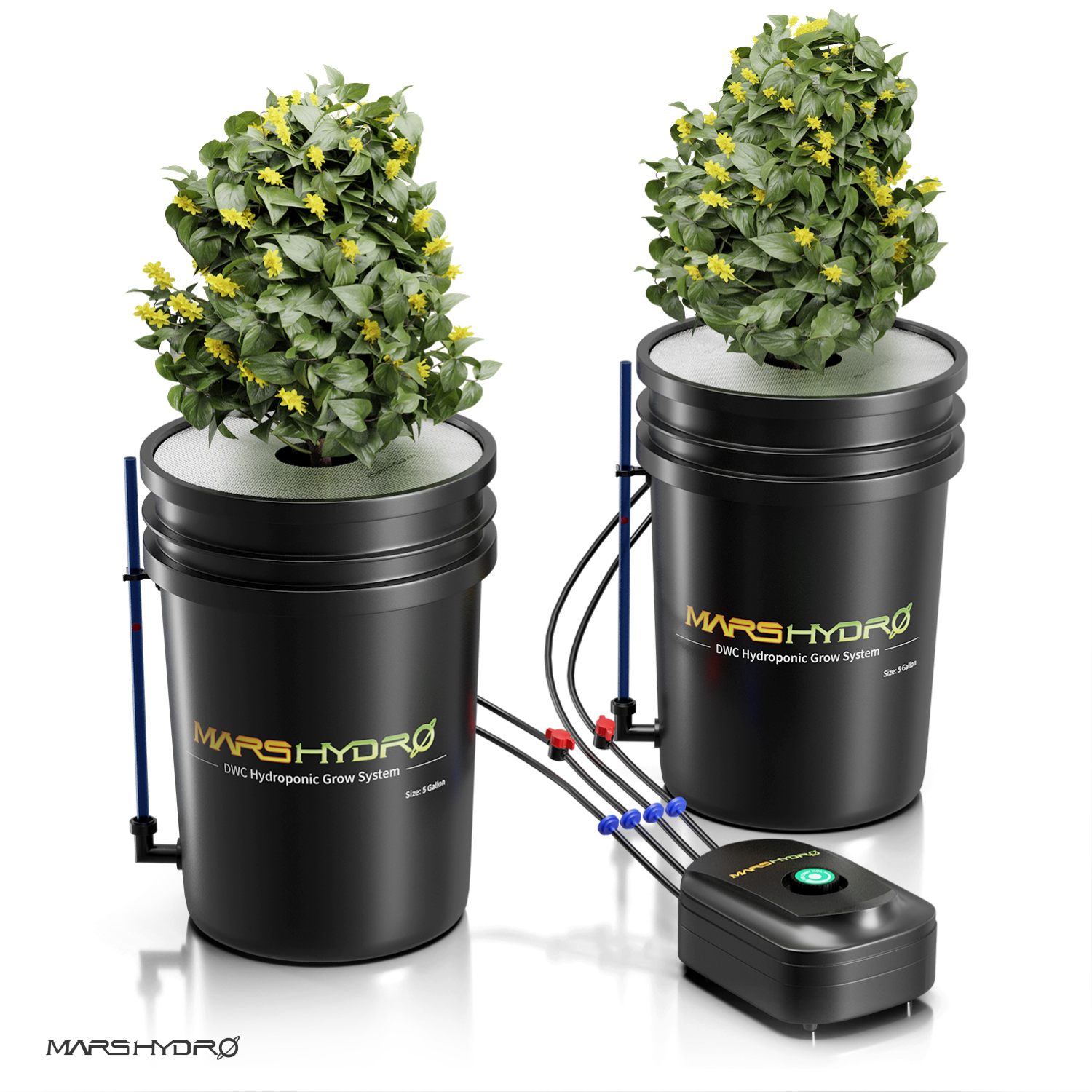 Mars Hydro DWC Hydroponic System Kit – ledgrowstore.co.uk