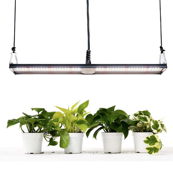 LED Grow Lights – ledgrowstore.co.uk