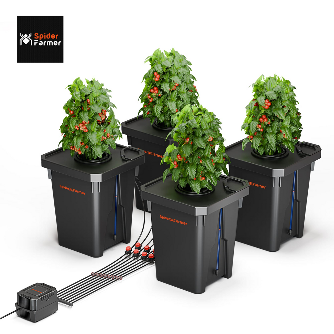 Spider Farmer DWC Hydroponics - 4 Plant System – ledgrowstore.co.uk