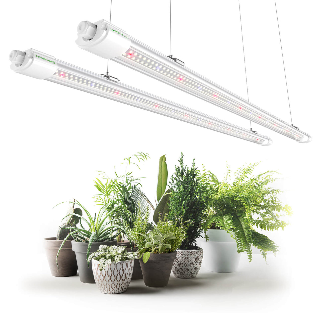 Mars Hydro LED Grow Lights – ledgrowstore.co.uk
